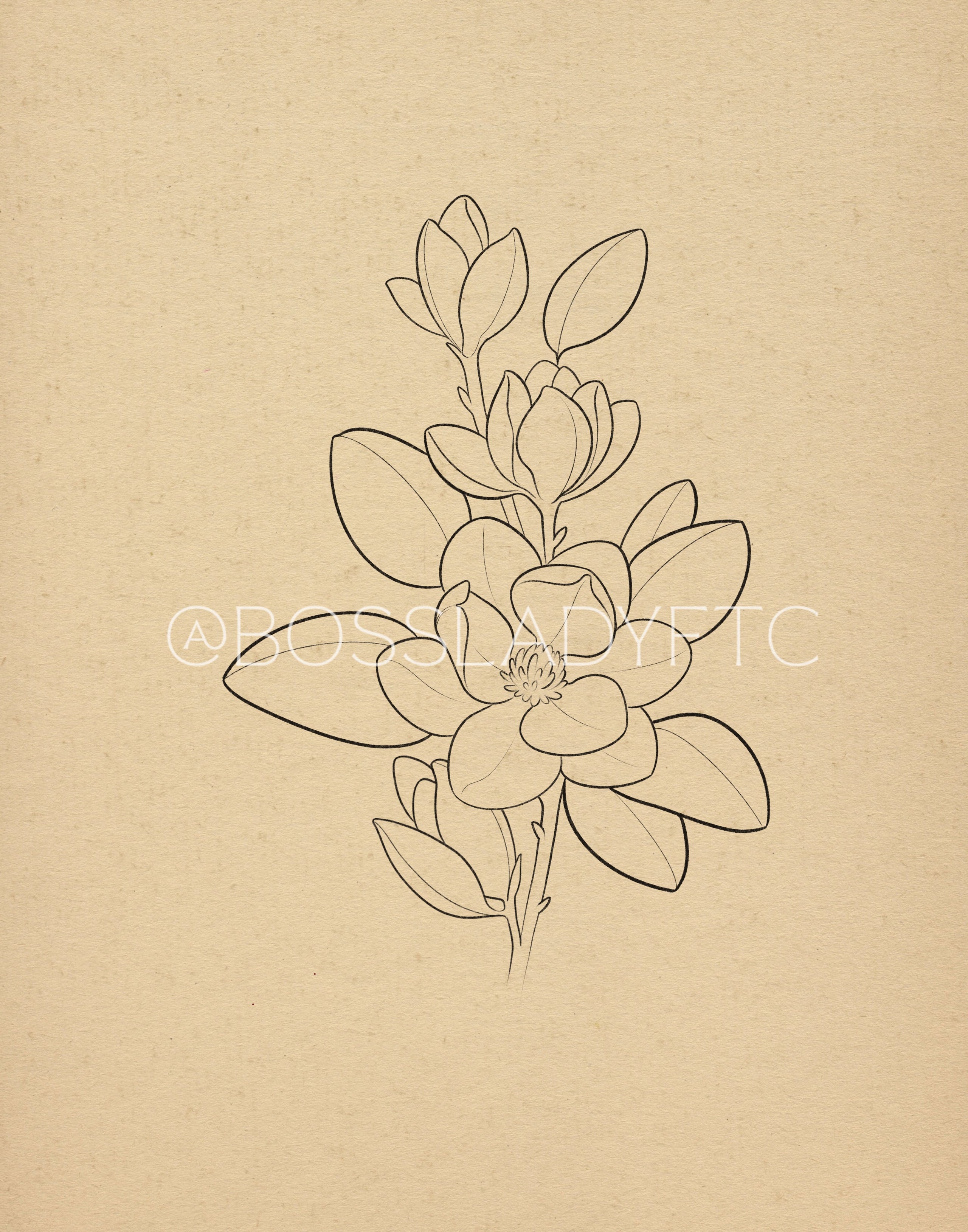 Pre Drawn | Magnolias | Fidelity Tattoo | Custom Tattooing | Curated ...