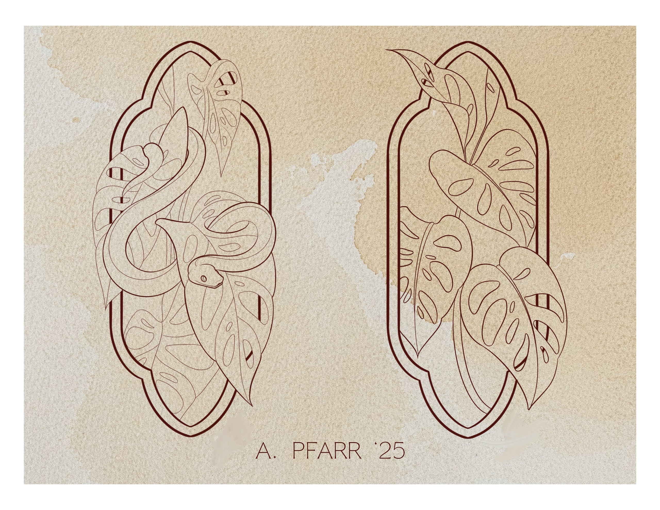 Pre Drawn | Monstera Frames | FIDELITY TATTOO